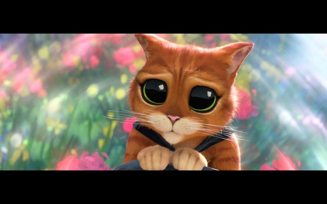 About Us | SDFX Studios